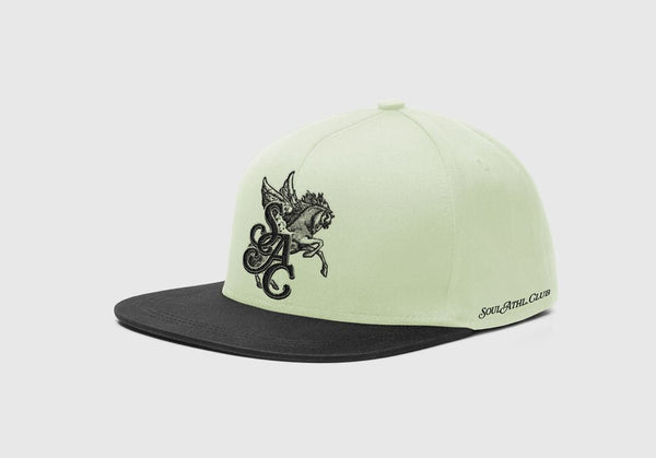 Sky Runner Snapback Hat - Soul Ova Gold